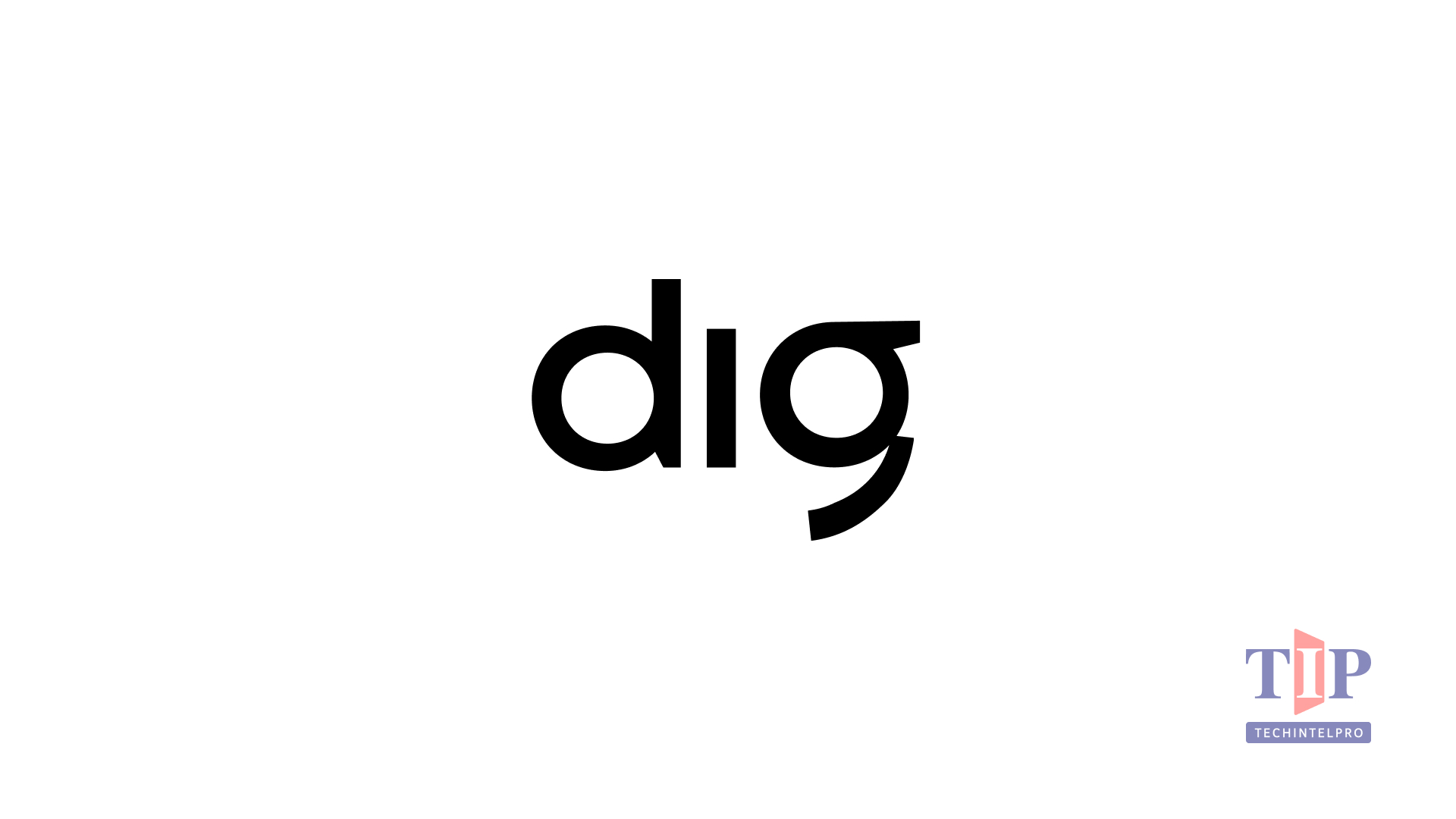 dig Launches ask-dig: Video-First AI Search Platform for Real Social ...