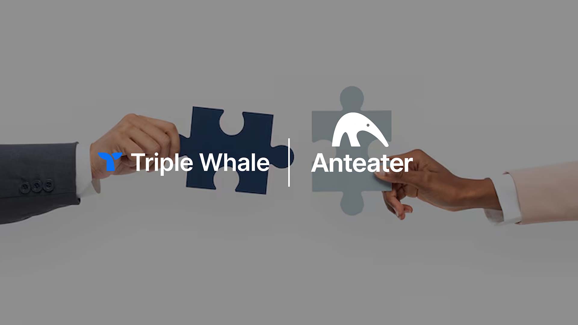 Triple Whale Acquires Anteater to Pioneer AI Visibility Tracking for Ecommerce